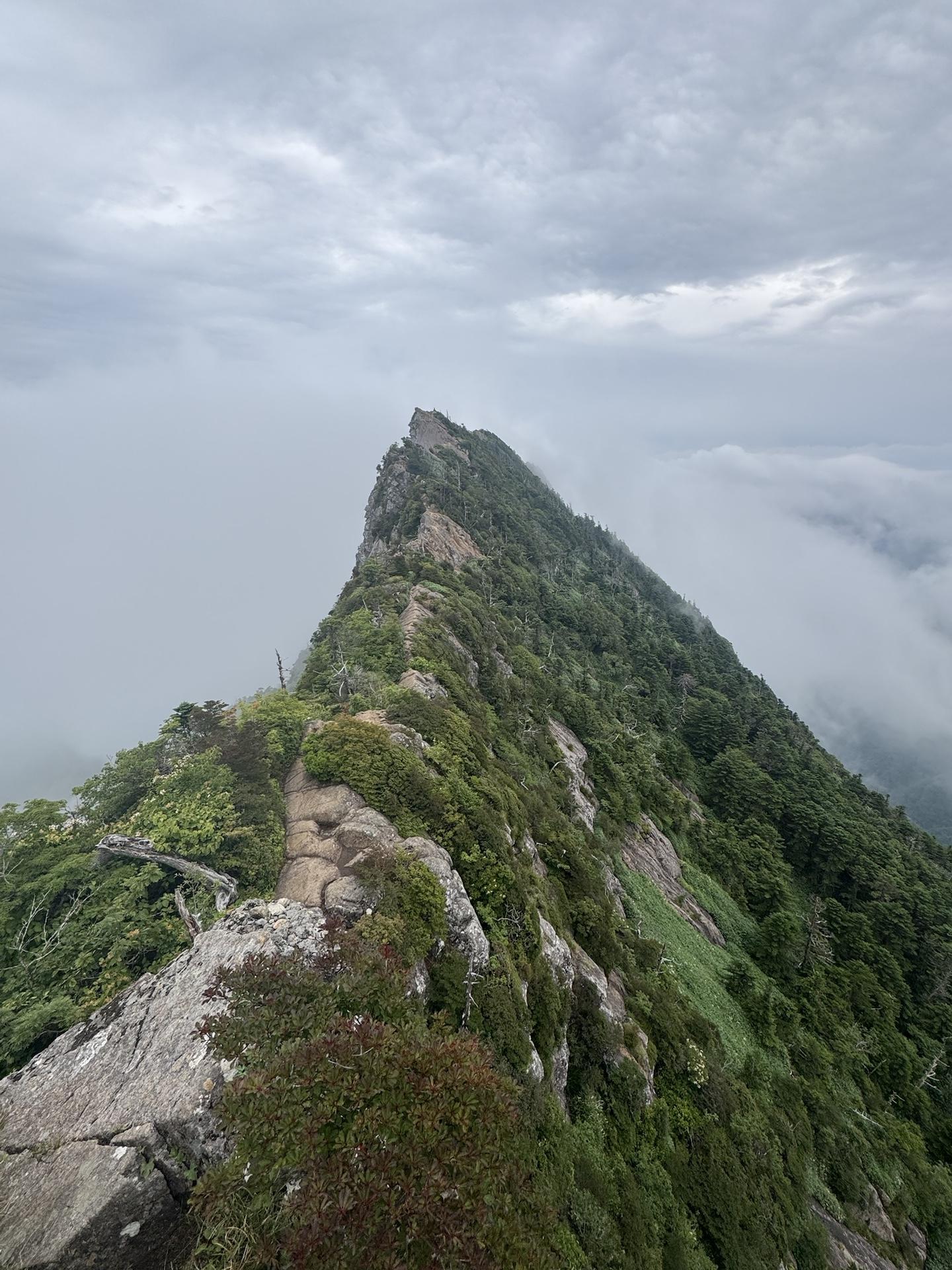 石鎚山 / mizu*kaさんの石鎚山・堂ヶ森・二ノ森の活動データ | YAMAP / ヤマップ