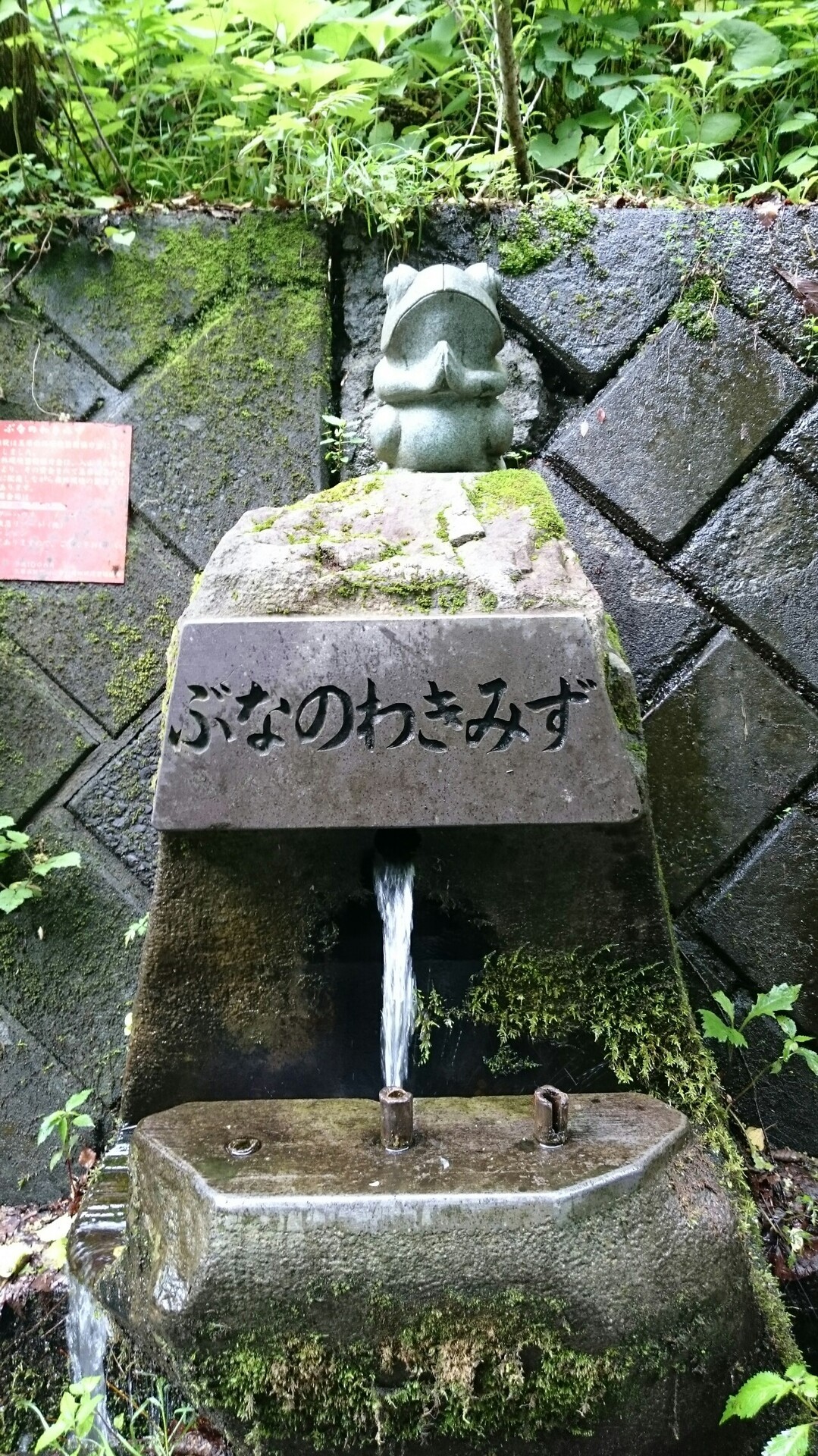 たんばらスキーパーク-2015-07-06 / ねずけんさんのたんばらスキーパークの活動データ | YAMAP / ヤマップ