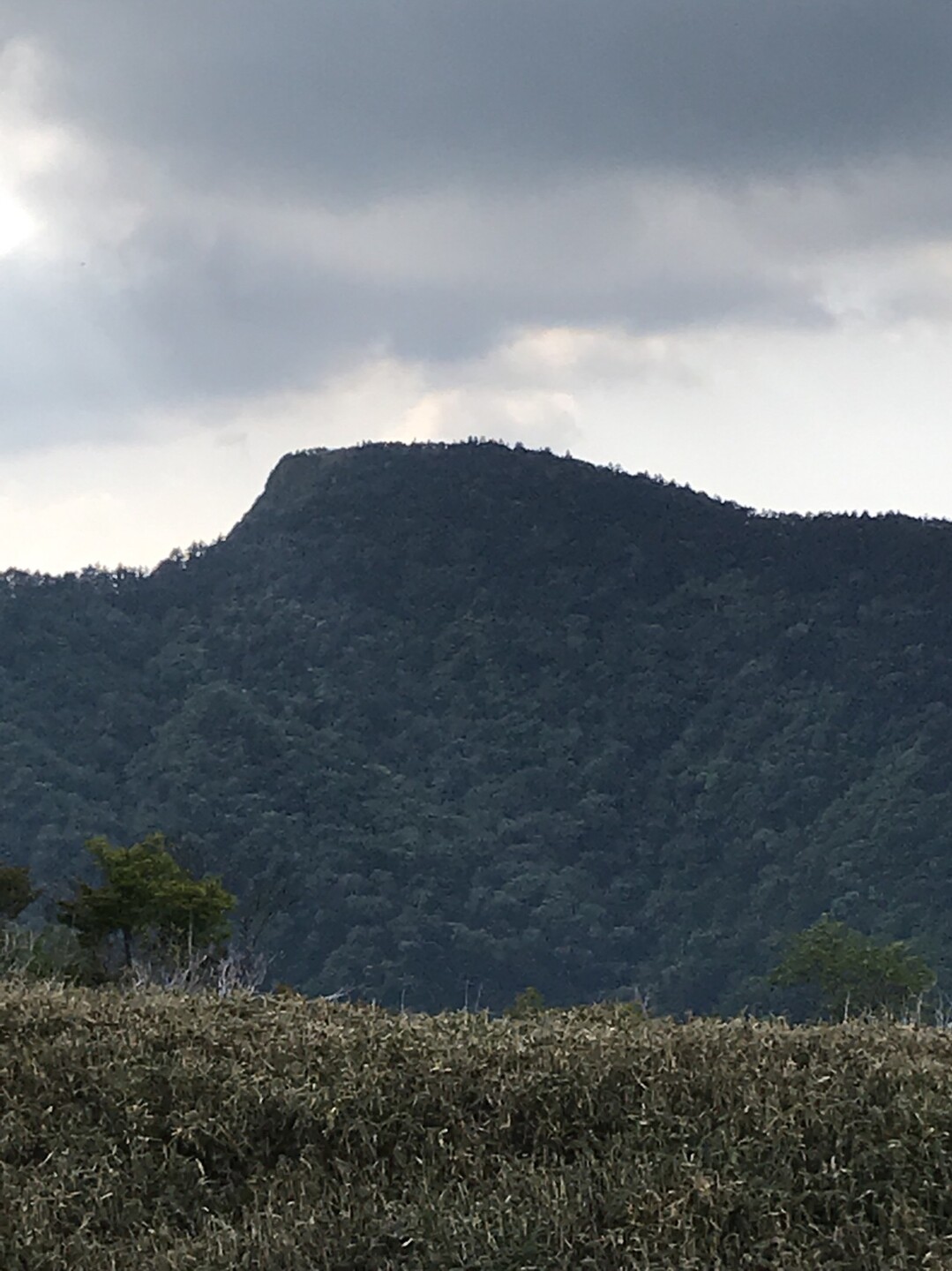 烏帽子山 / ta3netさんの矢筈山・黒笠山の活動データ | YAMAP / ヤマップ