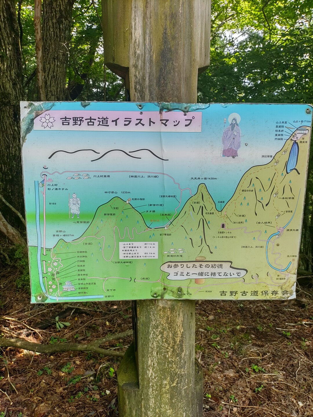 木の根っこがヘビに見えてビビリながら歩いてます。四寸岩山 / OS サテライトさんの大峯奥駈道 その1（吉野～山上ヶ岳）の活動データ | YAMAP / ヤマップ