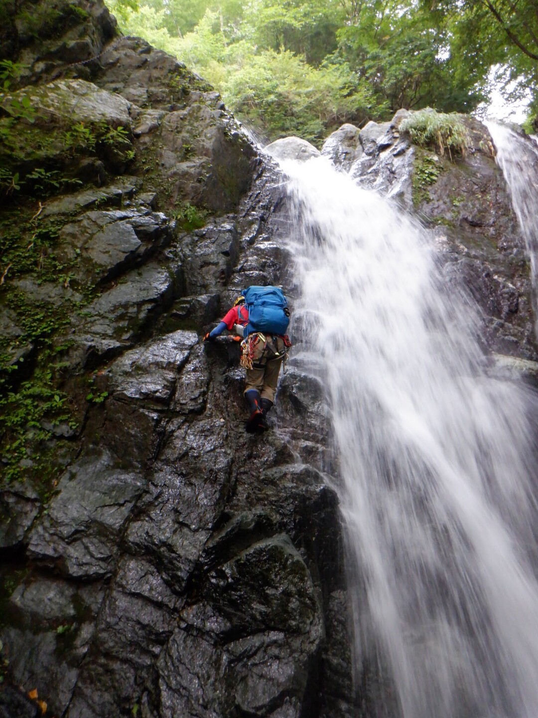 丹沢 水無川本谷 やっぱり、ヒルが出たにゃー(゜Д゜;) / NYAAさんの塔ノ岳・丹沢山・蛭ヶ岳の活動データ | YAMAP / ヤマップ