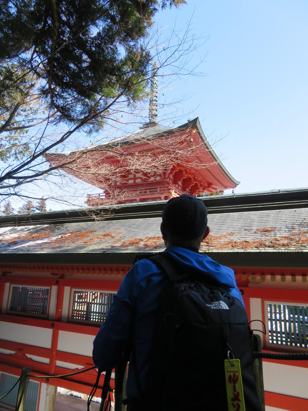 比叡山 / sentiさんの比叡山・横高山・梶山の活動データ | YAMAP / ヤマップ