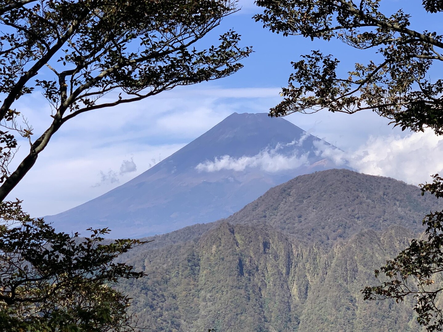 大荷土場から袴腰岳へ / ta614さんの愛鷹山・大岳・黒岳の活動データ | YAMAP / ヤマップ