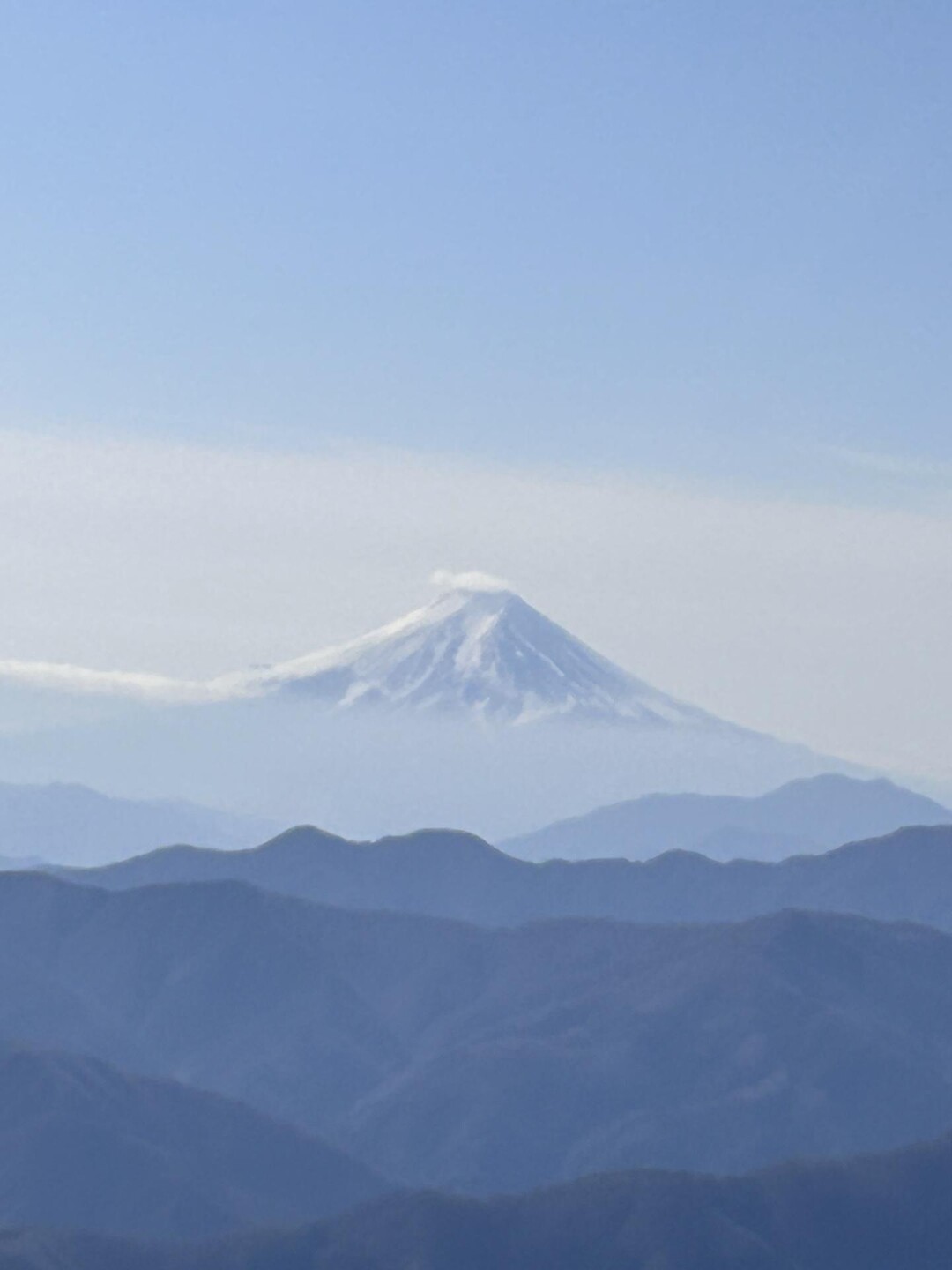 鷹ノ巣山 / MC HIROさんの雲取山・鷹ノ巣山・七ツ石山の活動データ | YAMAP / ヤマップ
