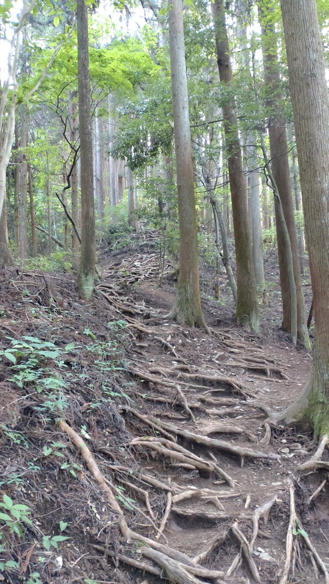 tak&kayさんの投稿したフィールドメモ | YAMAP / ヤマップ