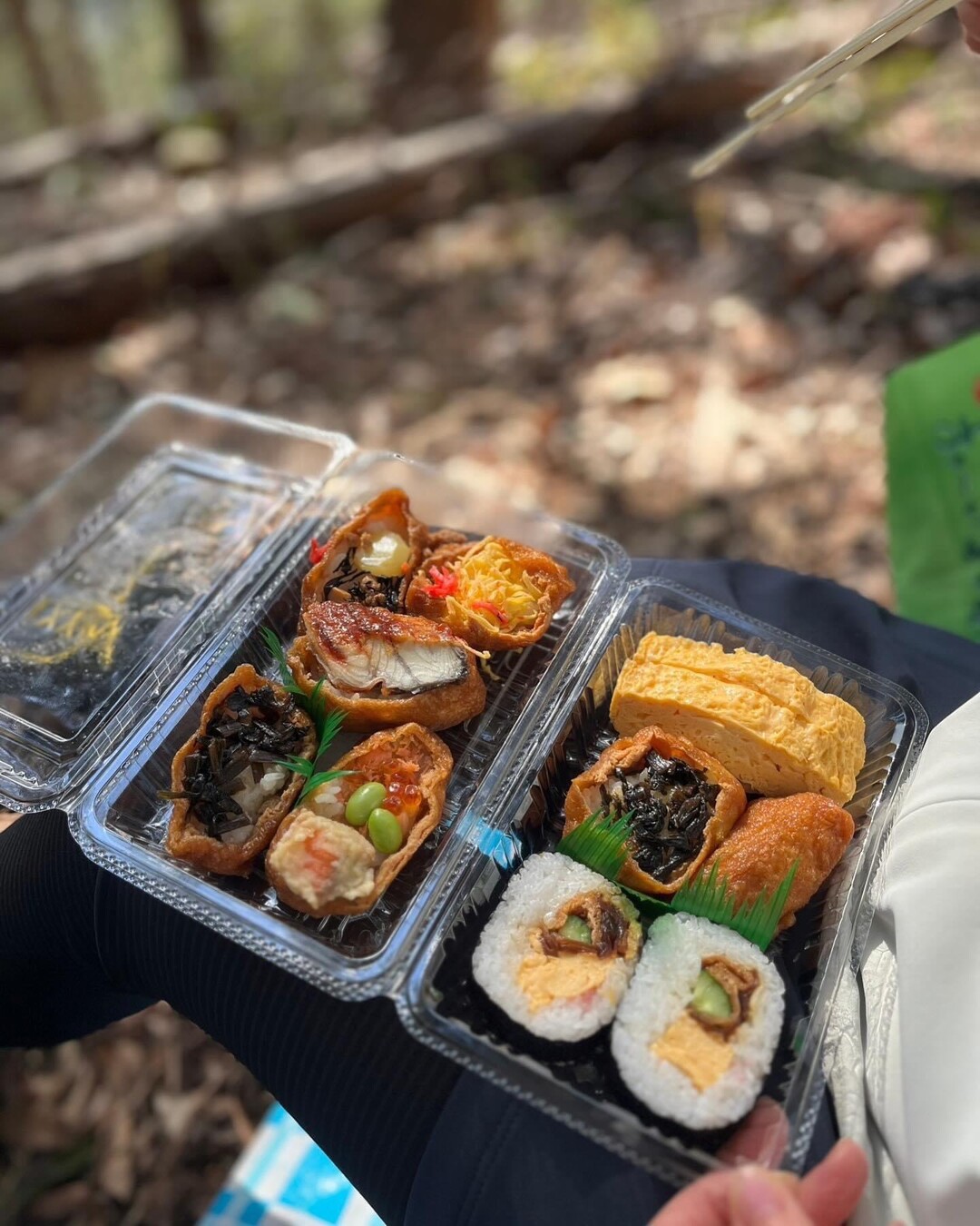 観音山 / mocchiさんの観音山の活動データ | YAMAP / ヤマップ