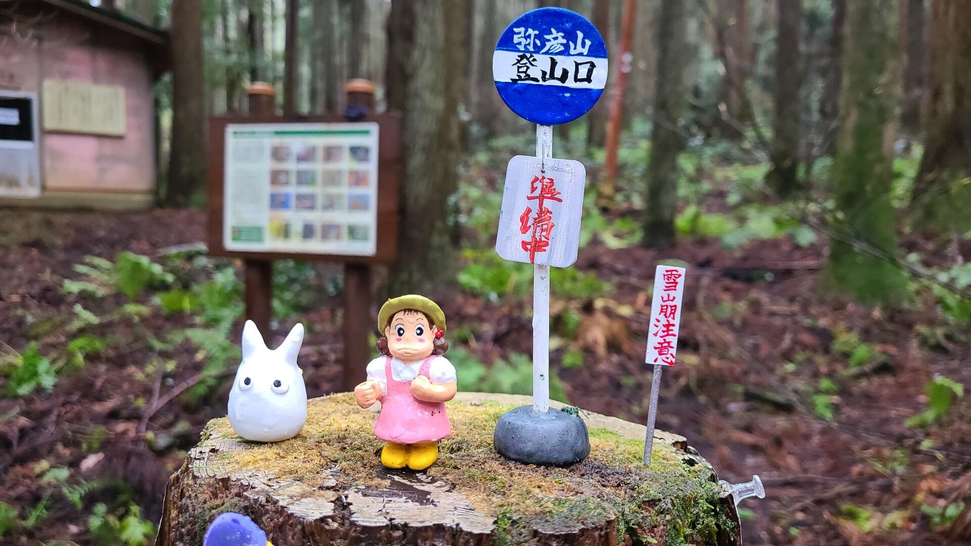 弥彦山 / まささんの弥彦山・多宝山・雨乞山の活動データ | YAMAP / ヤマップ