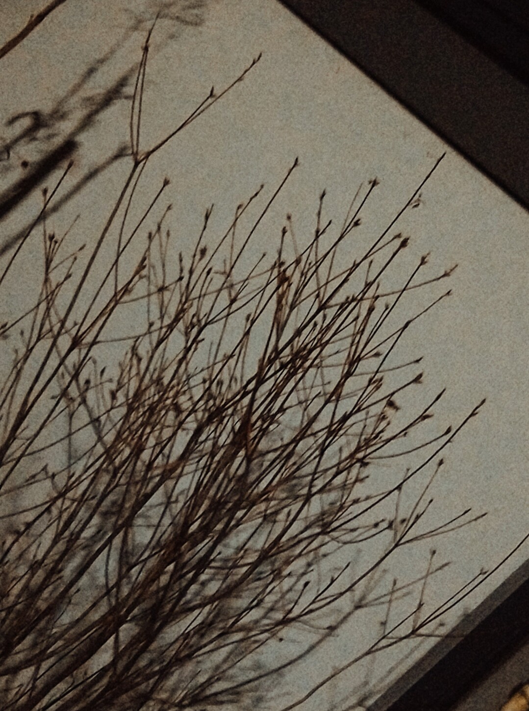 Nightウォーキング🌉 何だか天気も... / natu さんのモーメント | YAMAP / ヤマップ