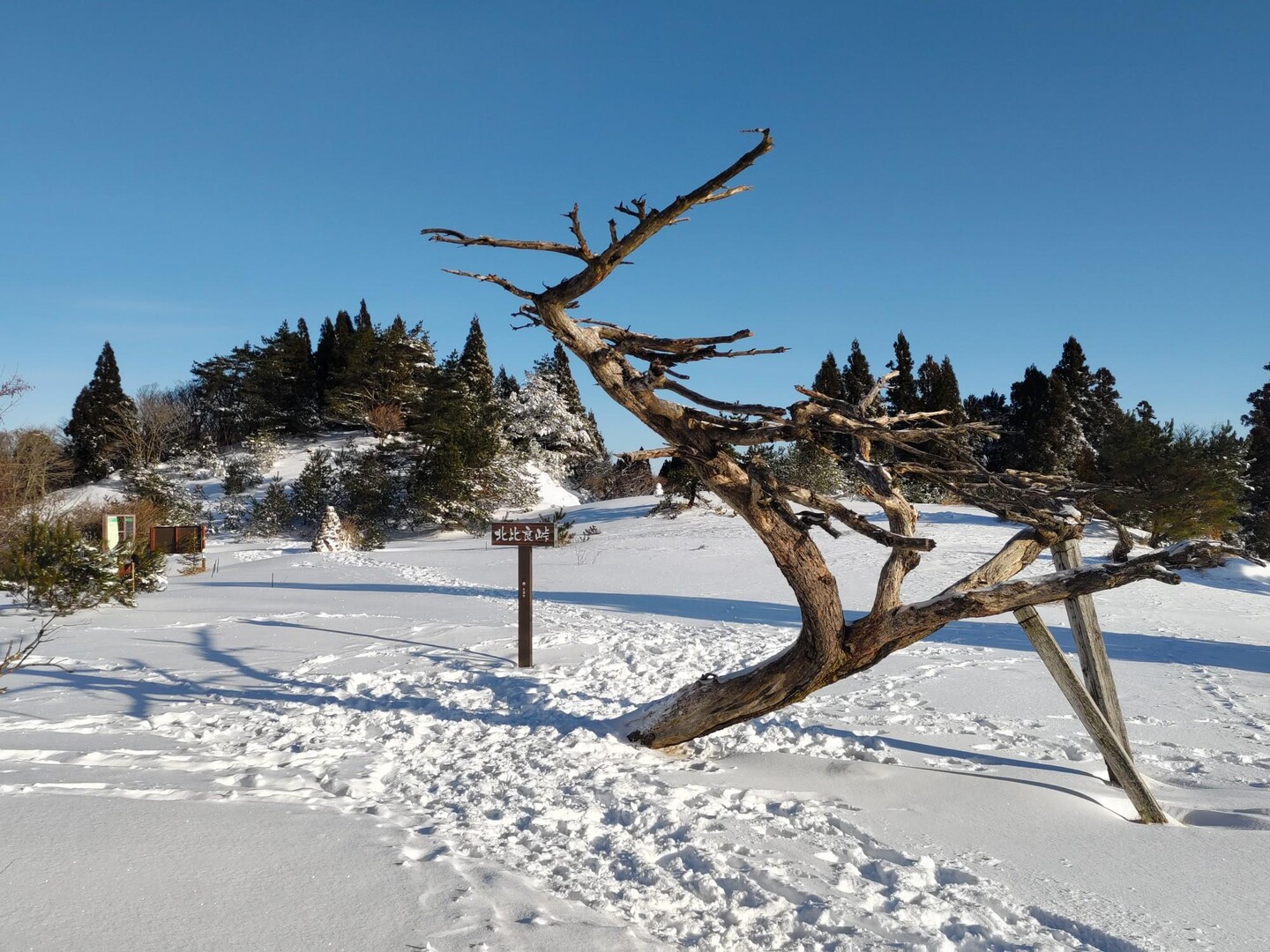 武奈ヶ岳で雪仕様チェック / うでズクさんの比良山地・武奈ヶ岳・釈迦岳の活動日記 | YAMAP / ヤマップ