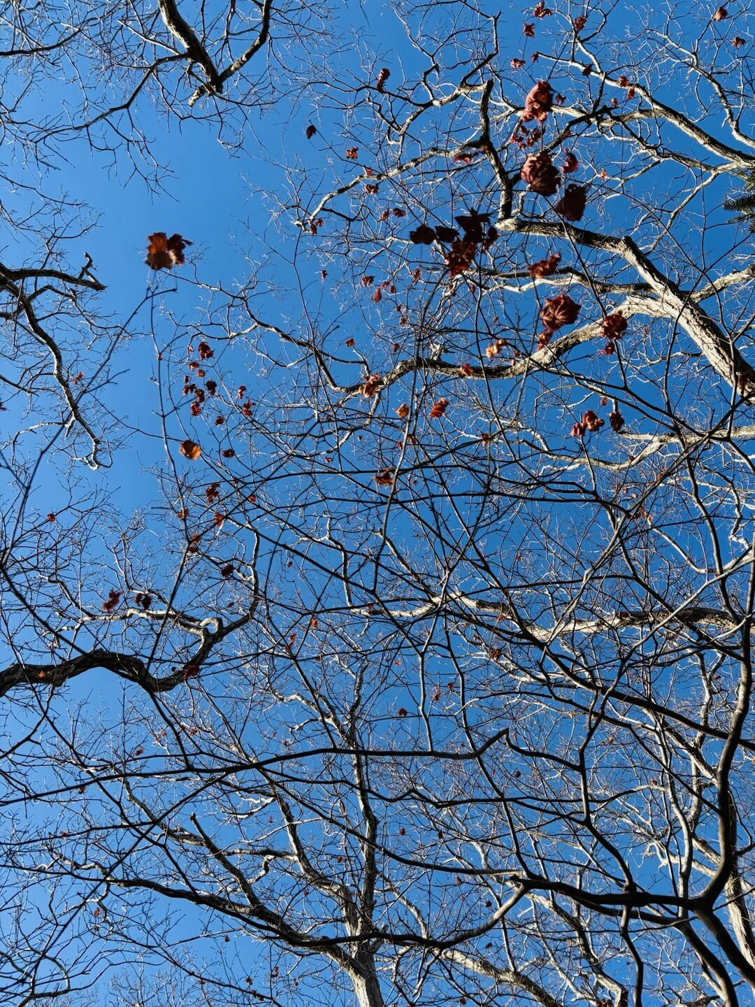 石投山・高梨山 / cinnamonさんの金華山・牡鹿半島の活動データ | YAMAP / ヤマップ