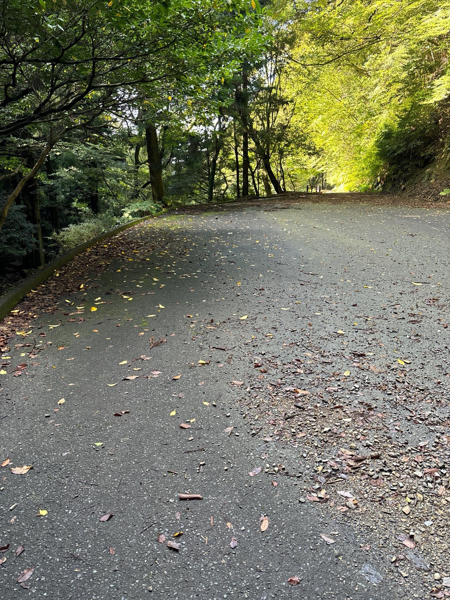 AKIRAさんの投稿したフィールドメモ | YAMAP / ヤマップ