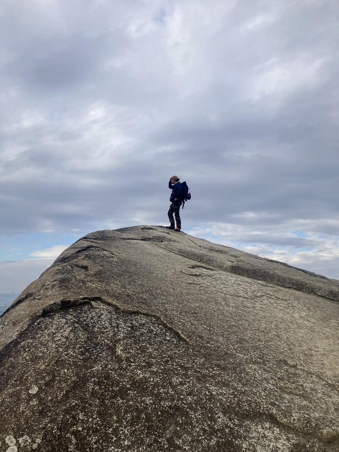 登り納め 地元の甘南備山・交野山 / kenjiさんの交野山・国見山の活動データ | YAMAP / ヤマップ
