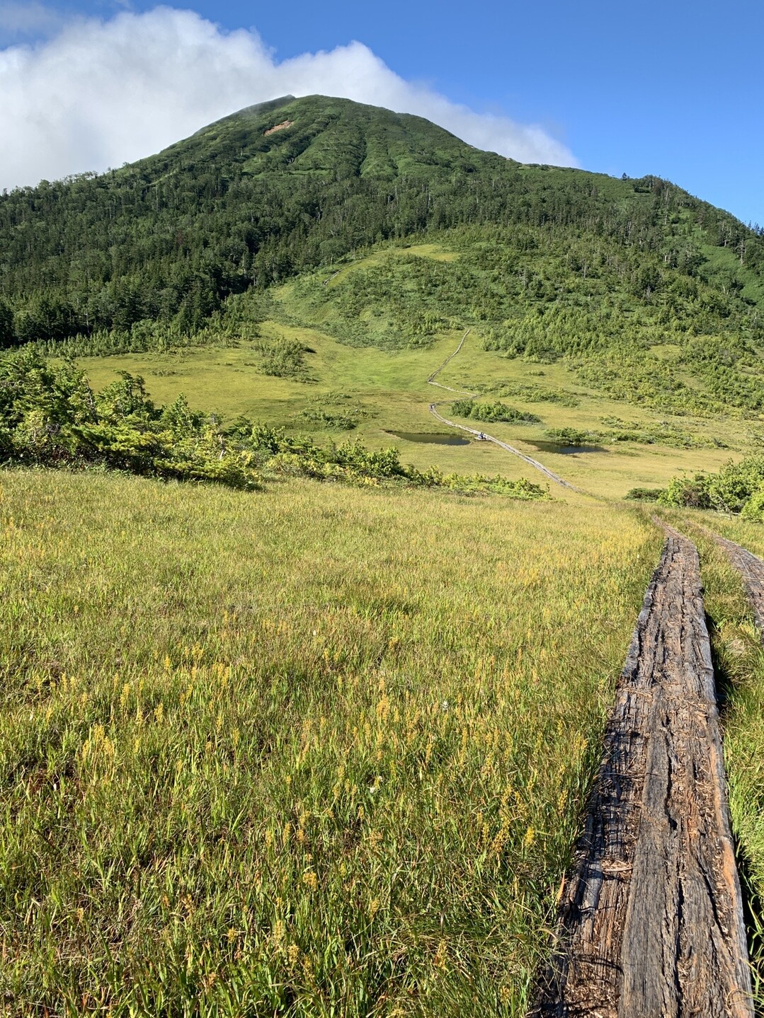 燧ヶ岳 / SABoさんの尾瀬・燧ヶ岳の活動データ | YAMAP / ヤマップ