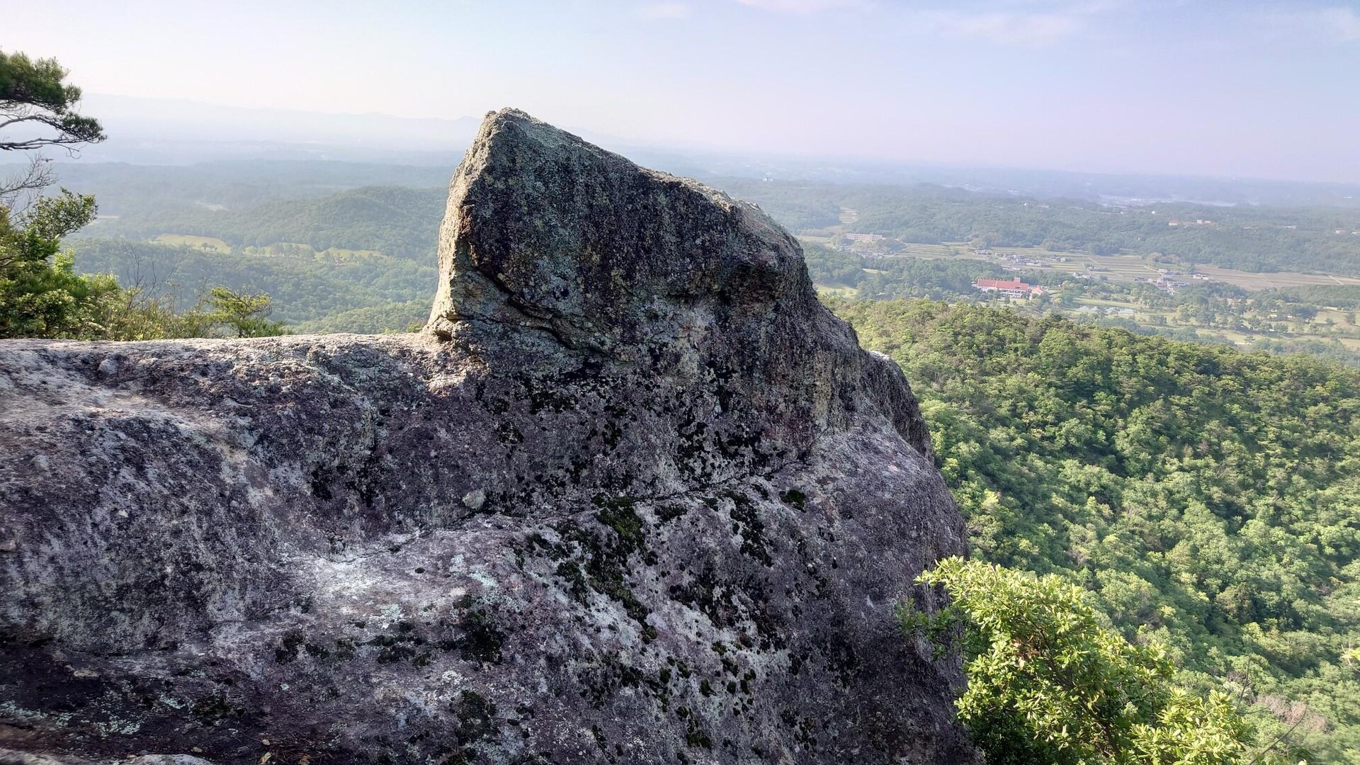 三草山 / NAOKIさんの三草山の活動データ | YAMAP / ヤマップ