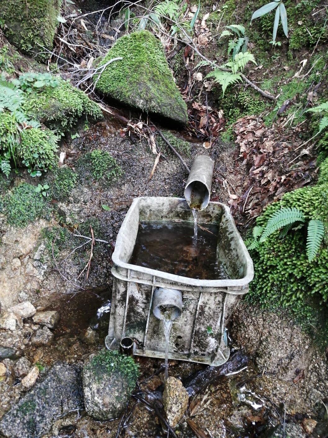 Masakiさんの投稿したフィールドメモ | YAMAP / ヤマップ