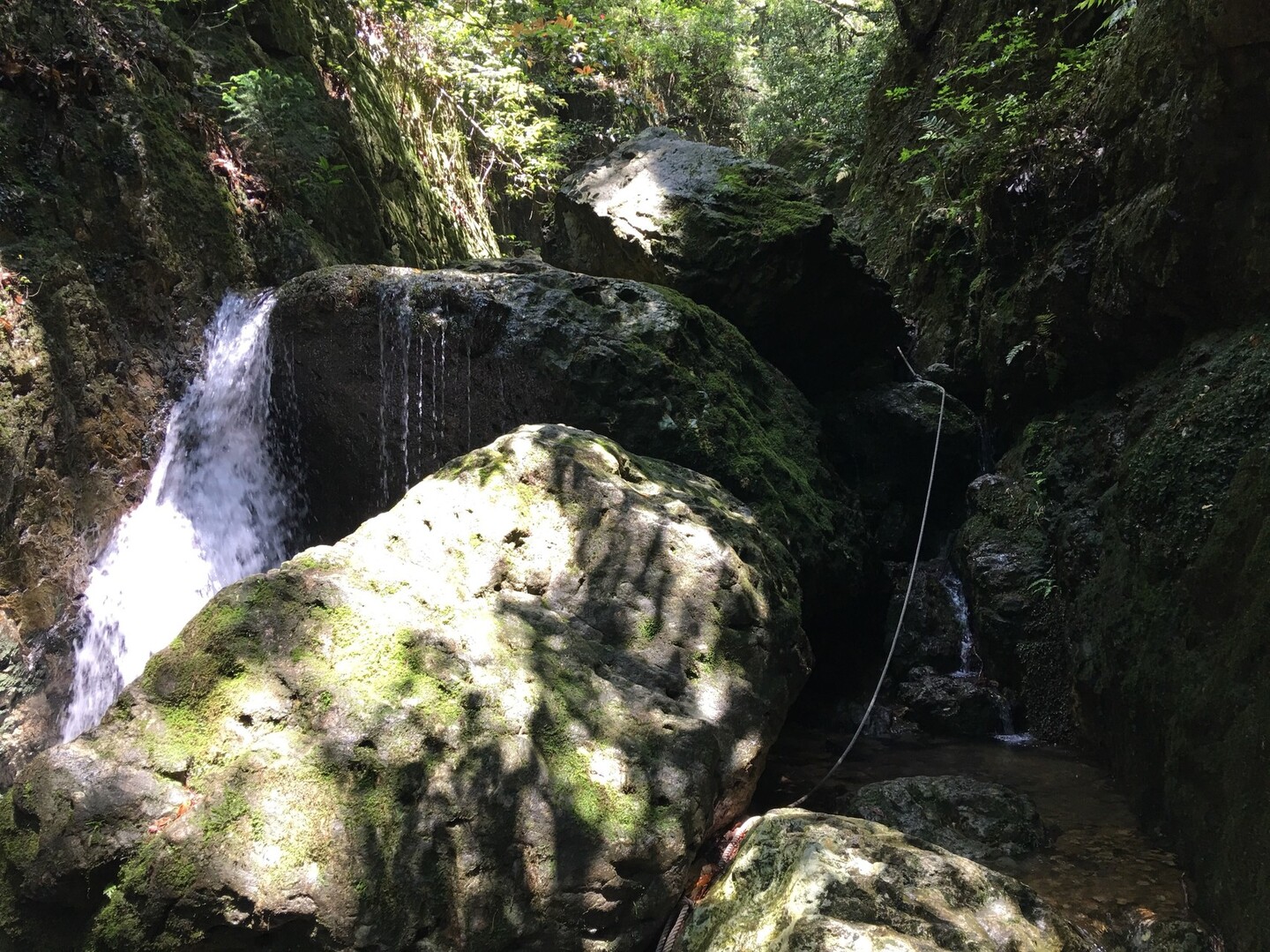白滝山ゴルジュ(^-^) / tequilaさんの白滝山・天井ヶ岳の活動データ | YAMAP / ヤマップ