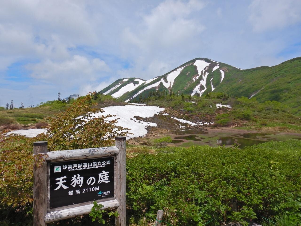 茶臼山･火打山 / km117さんの妙高山・火打山の活動データ | YAMAP / ヤマップ