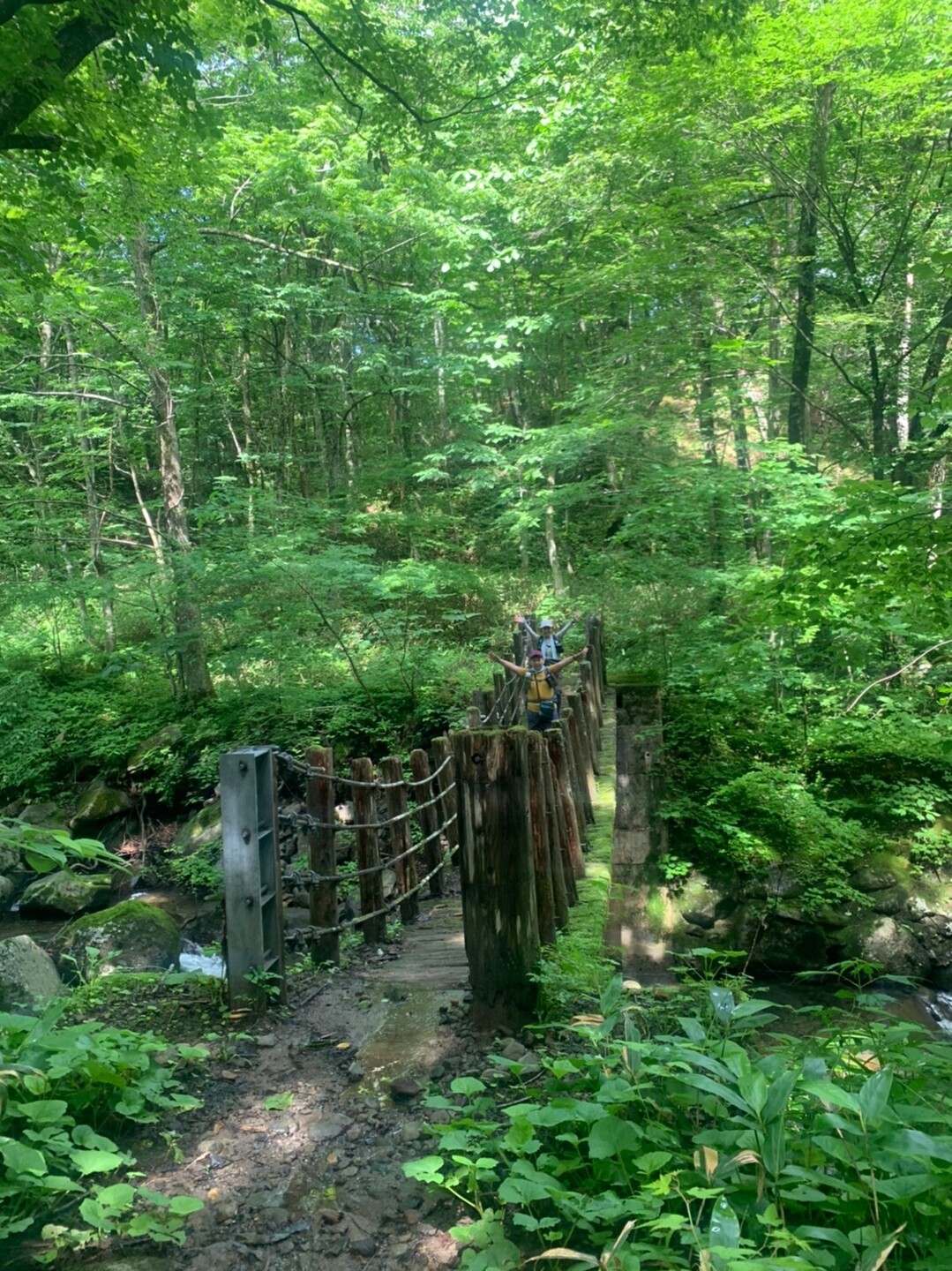 先日のTV。世界一受けたい授業！で「そっ... / kco（ケーコ）さんのモーメント | YAMAP / ヤマップ