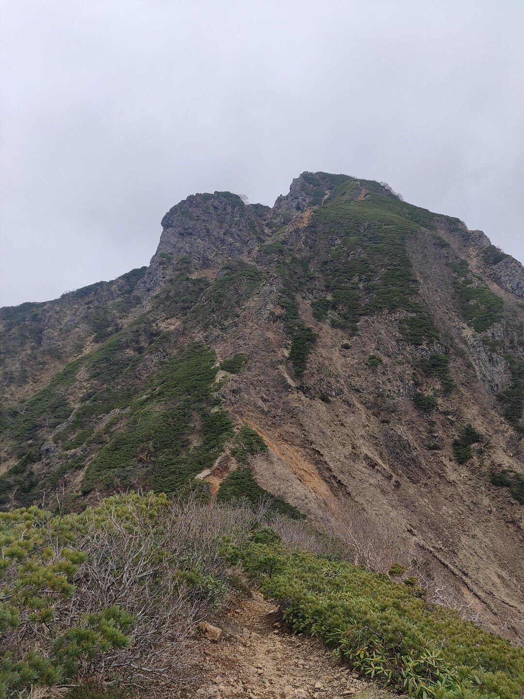 ayumiさんの投稿したフィールドメモ | YAMAP / ヤマップ