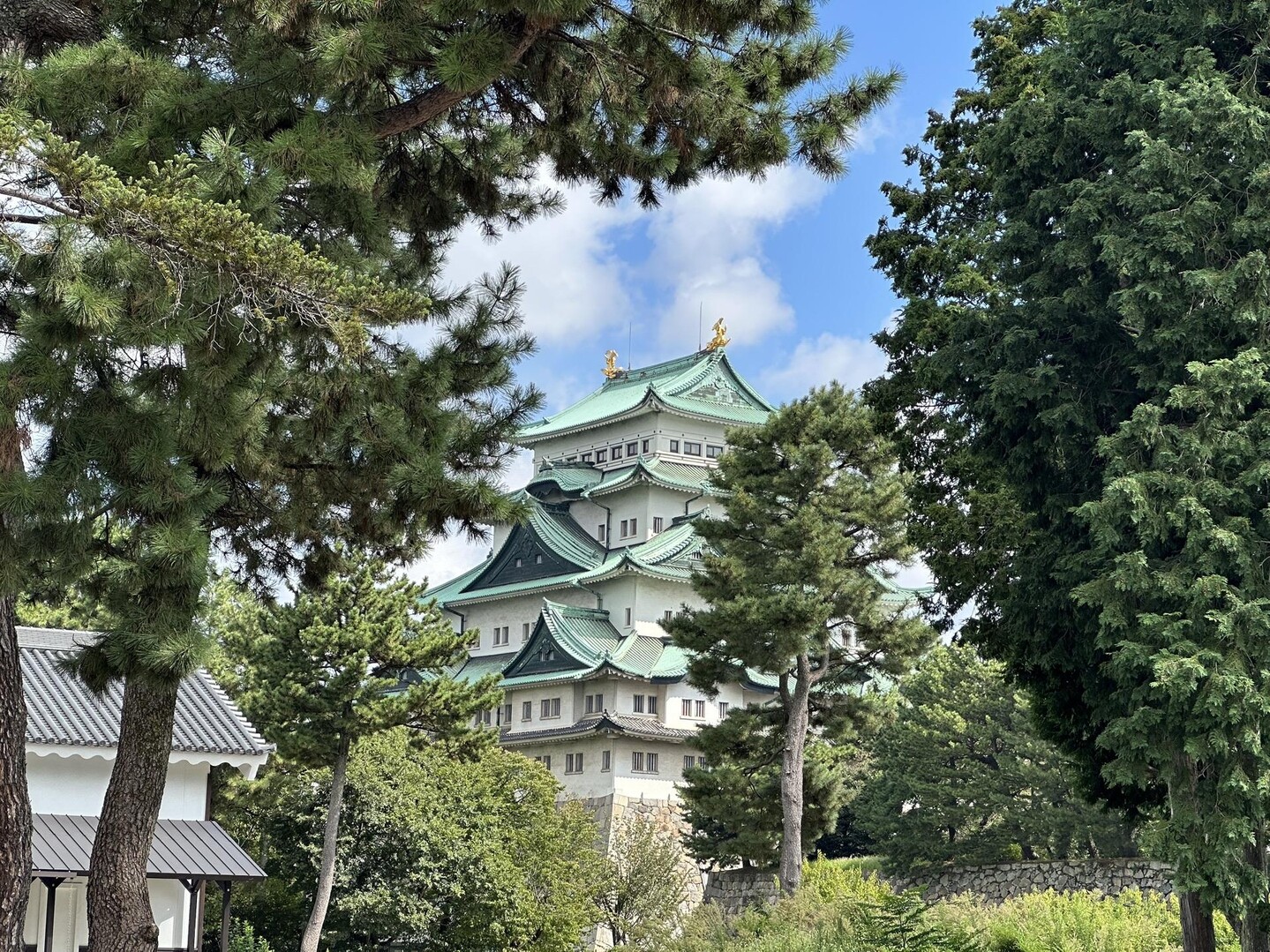 いざ！！ しぞーか県民、名古屋夏の陣🤗... / Tosiさんのモーメント | YAMAP / ヤマップ