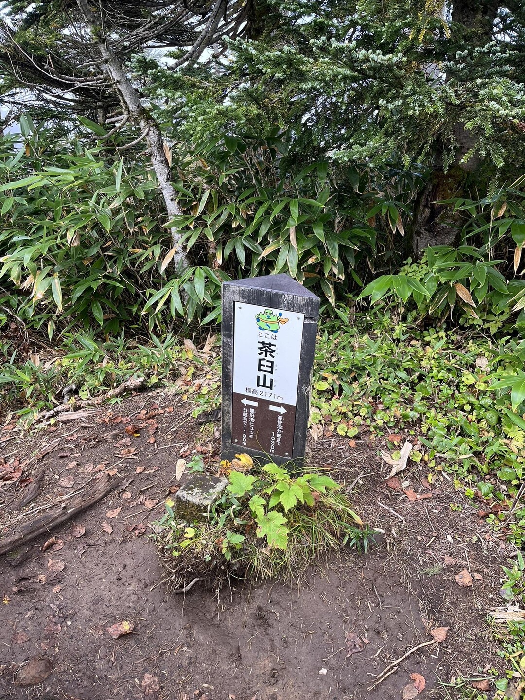火打山・妙高山 / 妙高山・火打山の写真20枚目 | YAMAP / ヤマップ