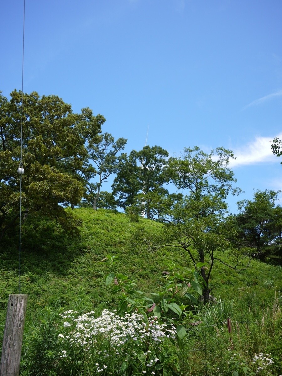 里美牧場ハイキング / takaCさんの栄蔵室・花園山の活動データ | YAMAP / ヤマップ