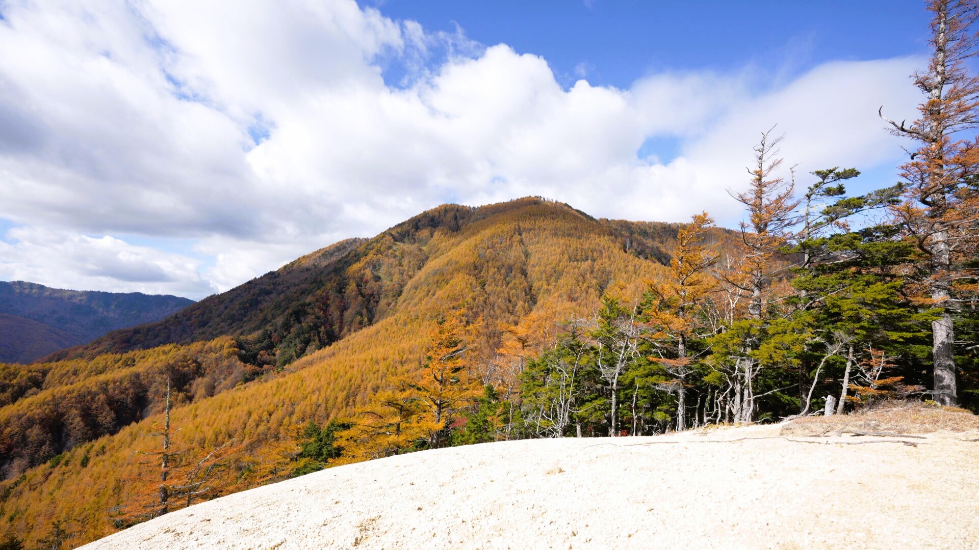 雨乞岳 / yasz_wanさんの雨乞岳の活動データ | YAMAP / ヤマップ
