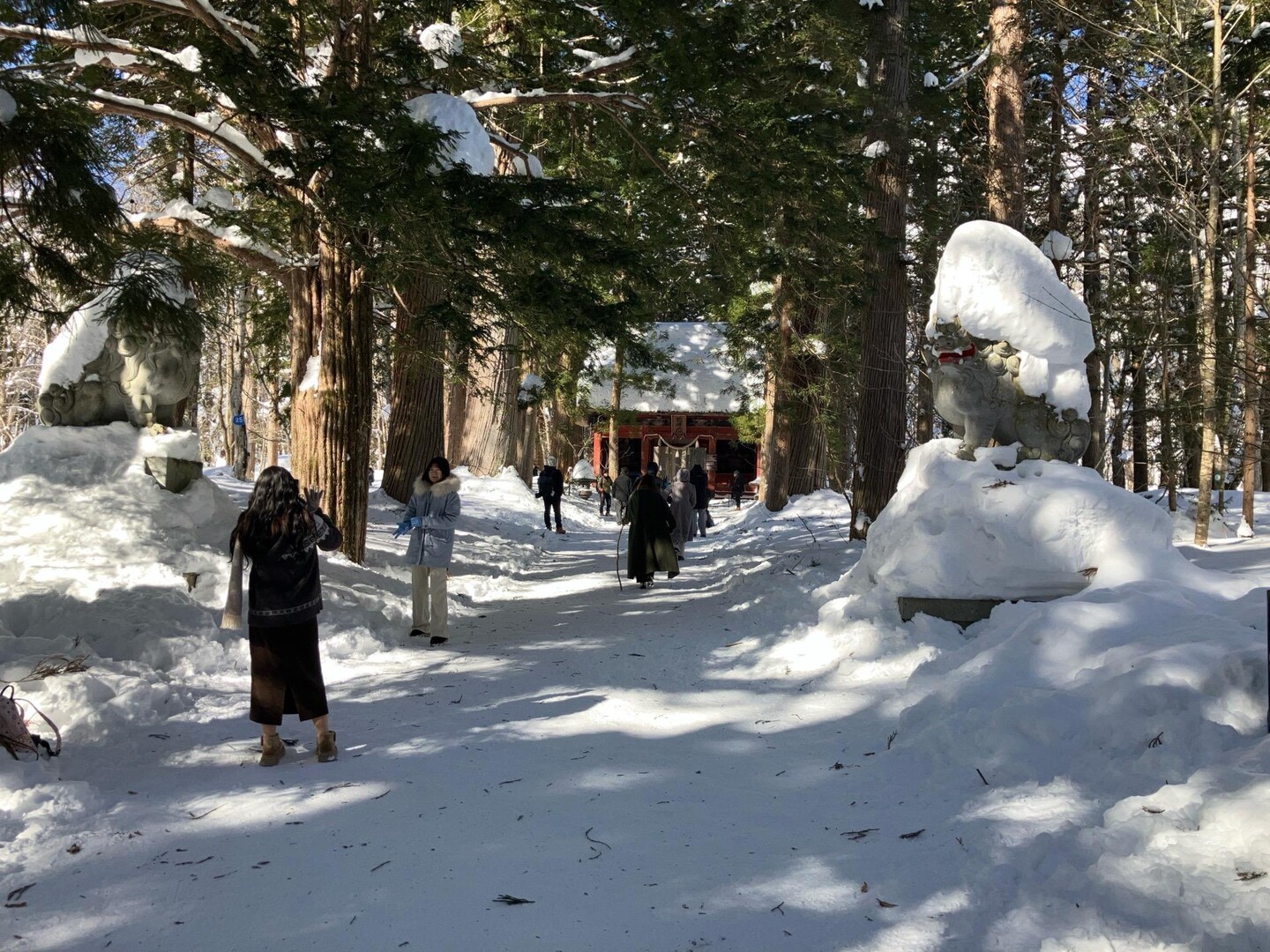 戸隠奥社2025-01-18 / ぴろしきさんの登山の活動日記 | YAMAP / ヤマップ