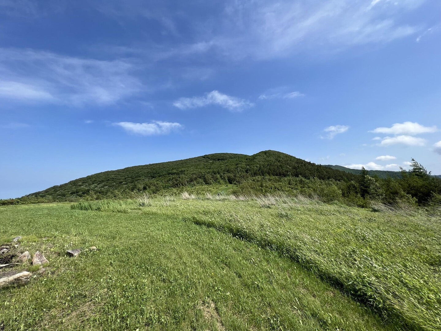 平庭岳 / Fisherマンさんの安家森の活動データ | YAMAP / ヤマップ