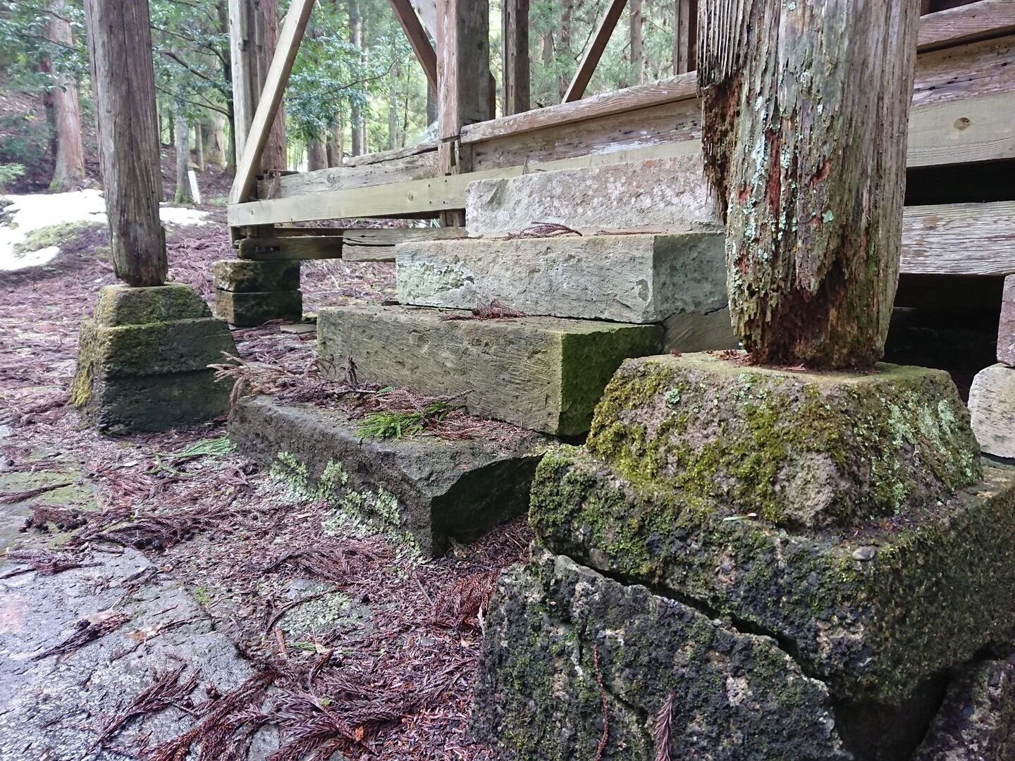 猿毛岳(2) / tak_kerさんの猿毛岳の活動データ | YAMAP / ヤマップ