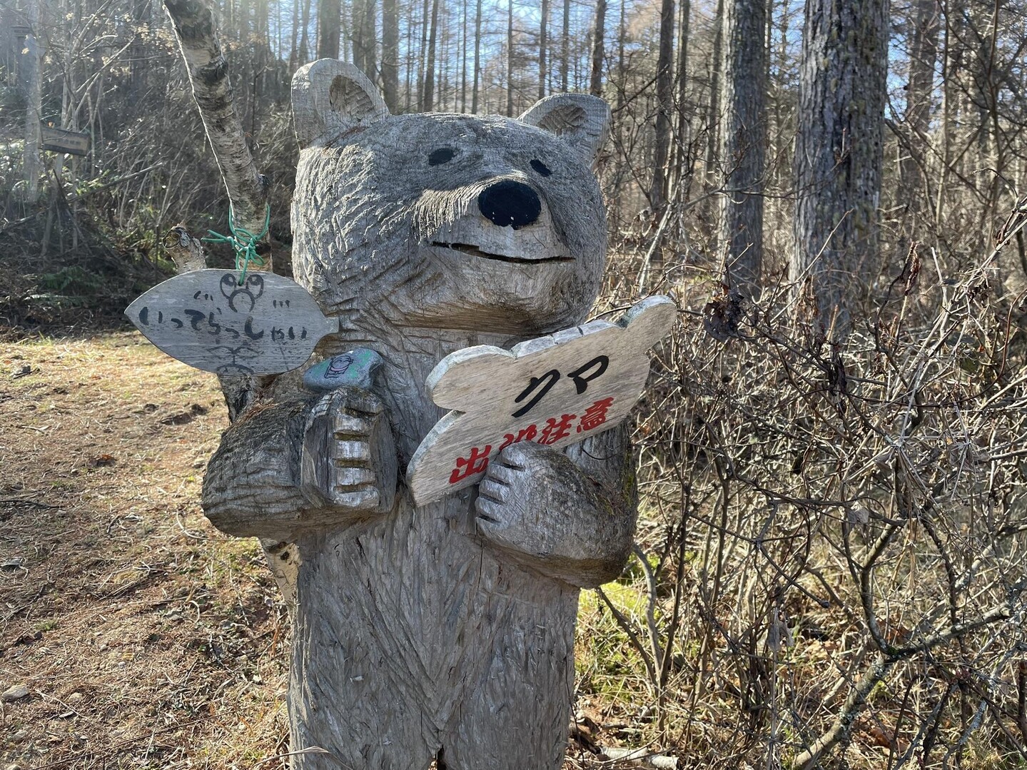 守屋山東峰・守屋山中嶽・守屋山・守屋山前嶽 / nk-poohさんの守屋山の活動データ | YAMAP / ヤマップ