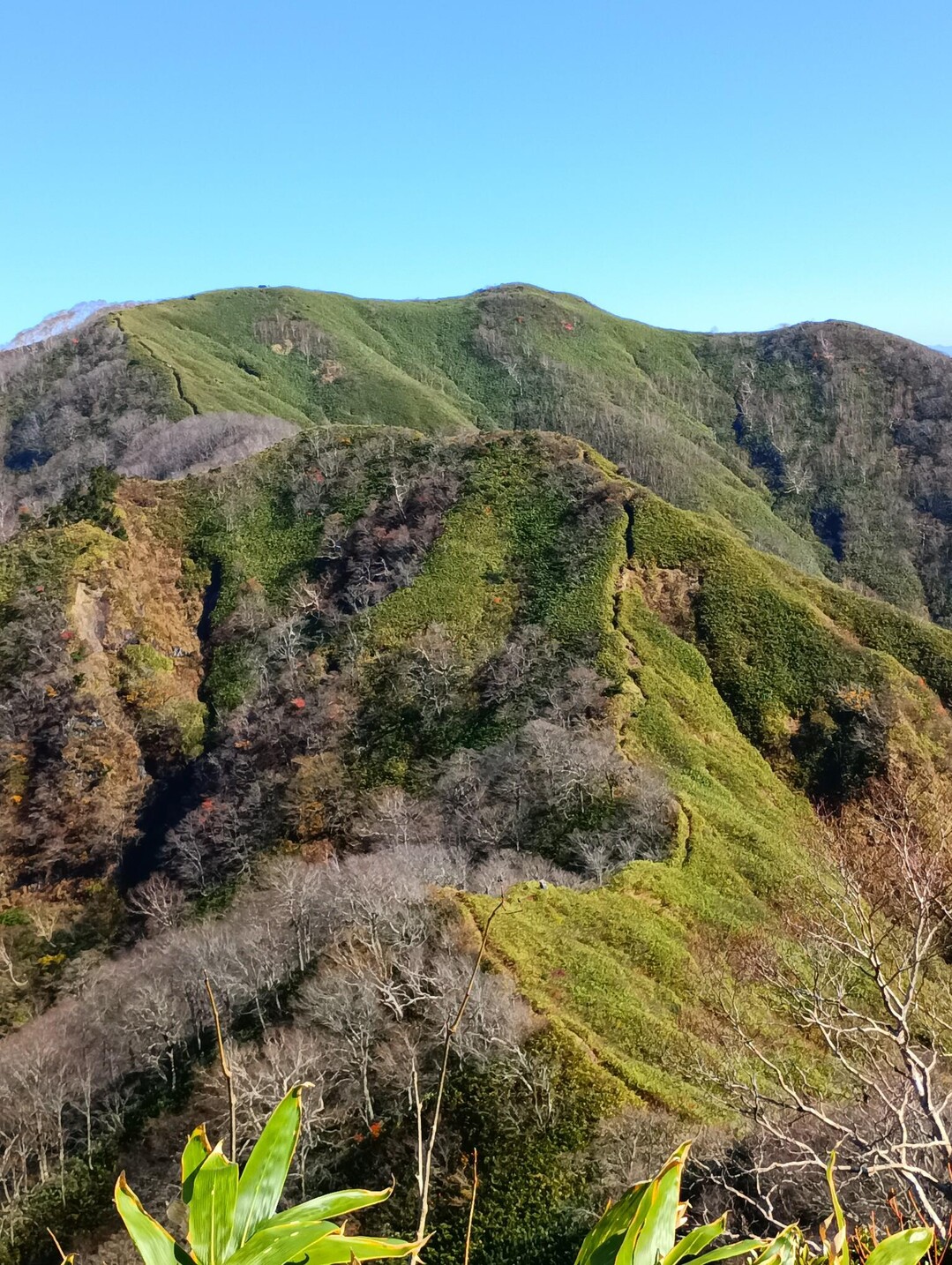 大日ヶ岳 / f-muraさんの大日ヶ岳・毘沙門岳の活動データ | YAMAP / ヤマップ
