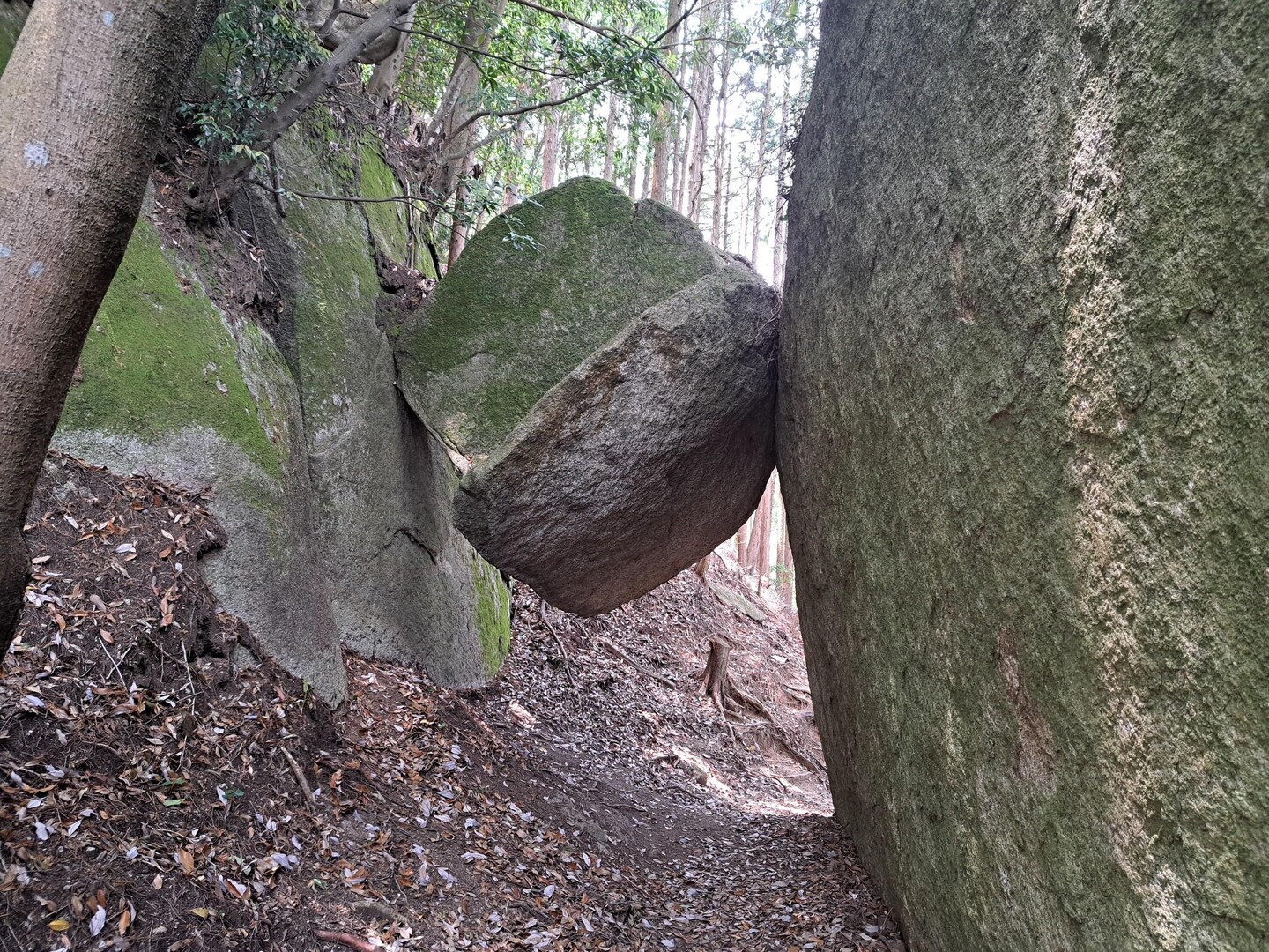岩石山 / Mr.OHOさんの岩石山（岩石城）の活動データ | YAMAP / ヤマップ