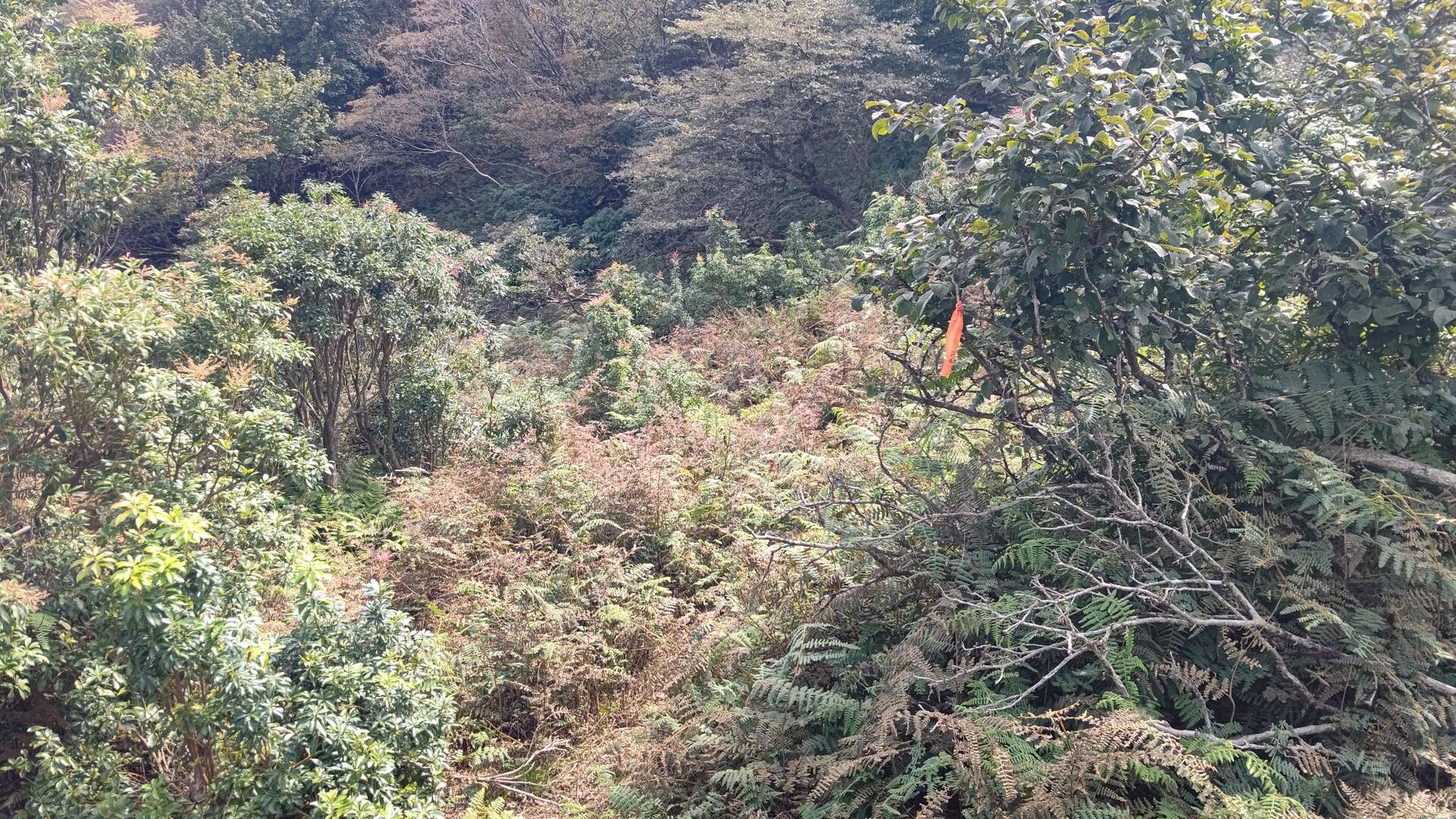 ypkunさんの投稿したフィールドメモ | YAMAP / ヤマップ