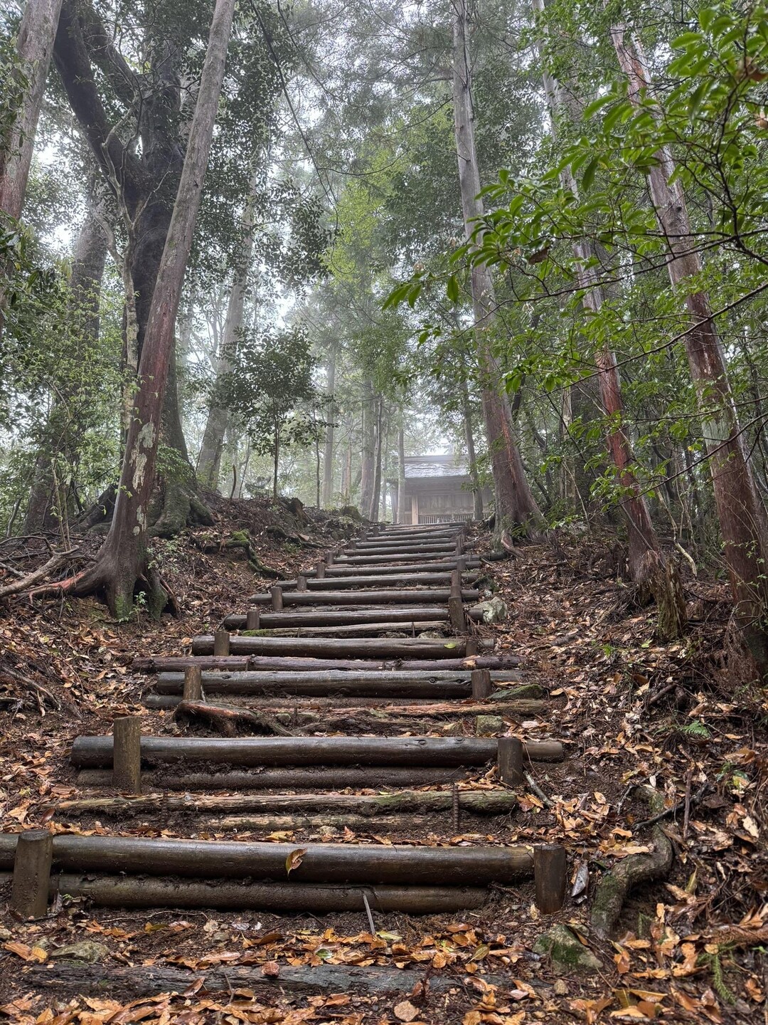 雨なのに横倉山にのぼったぁ〜😂 / cozy284さんの横倉山の活動データ | YAMAP / ヤマップ