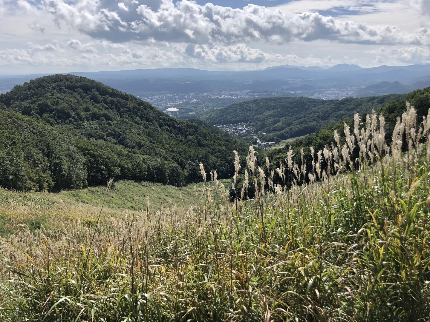 秋晴の山鼻山・藻岩山 / inaoさんの藻岩山の活動データ | YAMAP / ヤマップ