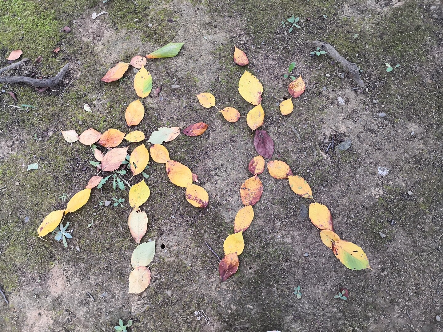 秋の夕方 / Mamincoさんのウォーキングの活動データ | YAMAP / ヤマップ