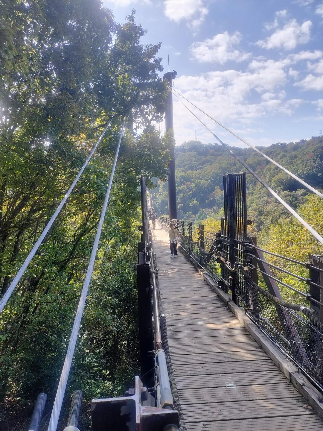 馬が嶺・日南山・白峯・小判嶺・大谷山・南大谷山・弁財天山・茨尾山・西茨尾山・北山師岳・地獄谷山... / Temu北新地さんの交野山・国見山の活動データ | YAMAP / ヤマップ