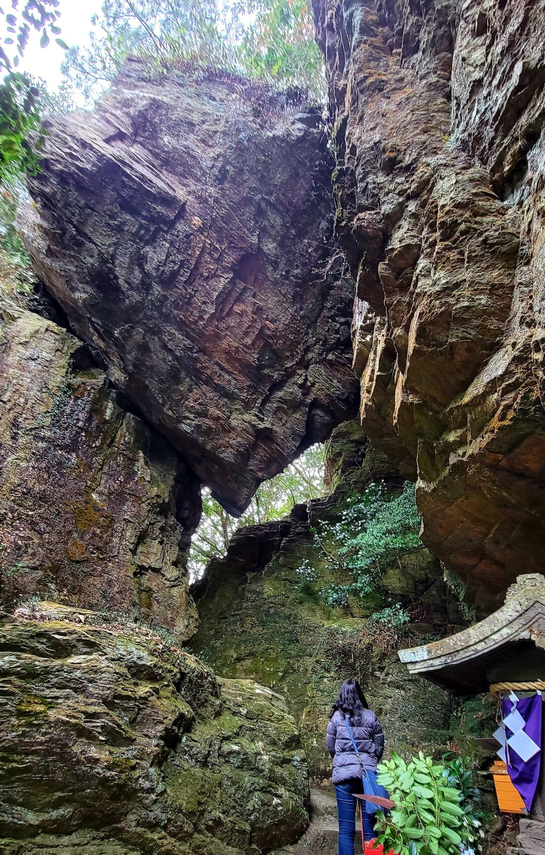 近場の絶景みっけ🎶白山神社上の岩場👀若山～白山 / wakky!!さんの大分市の活動日記 | YAMAP / ヤマップ