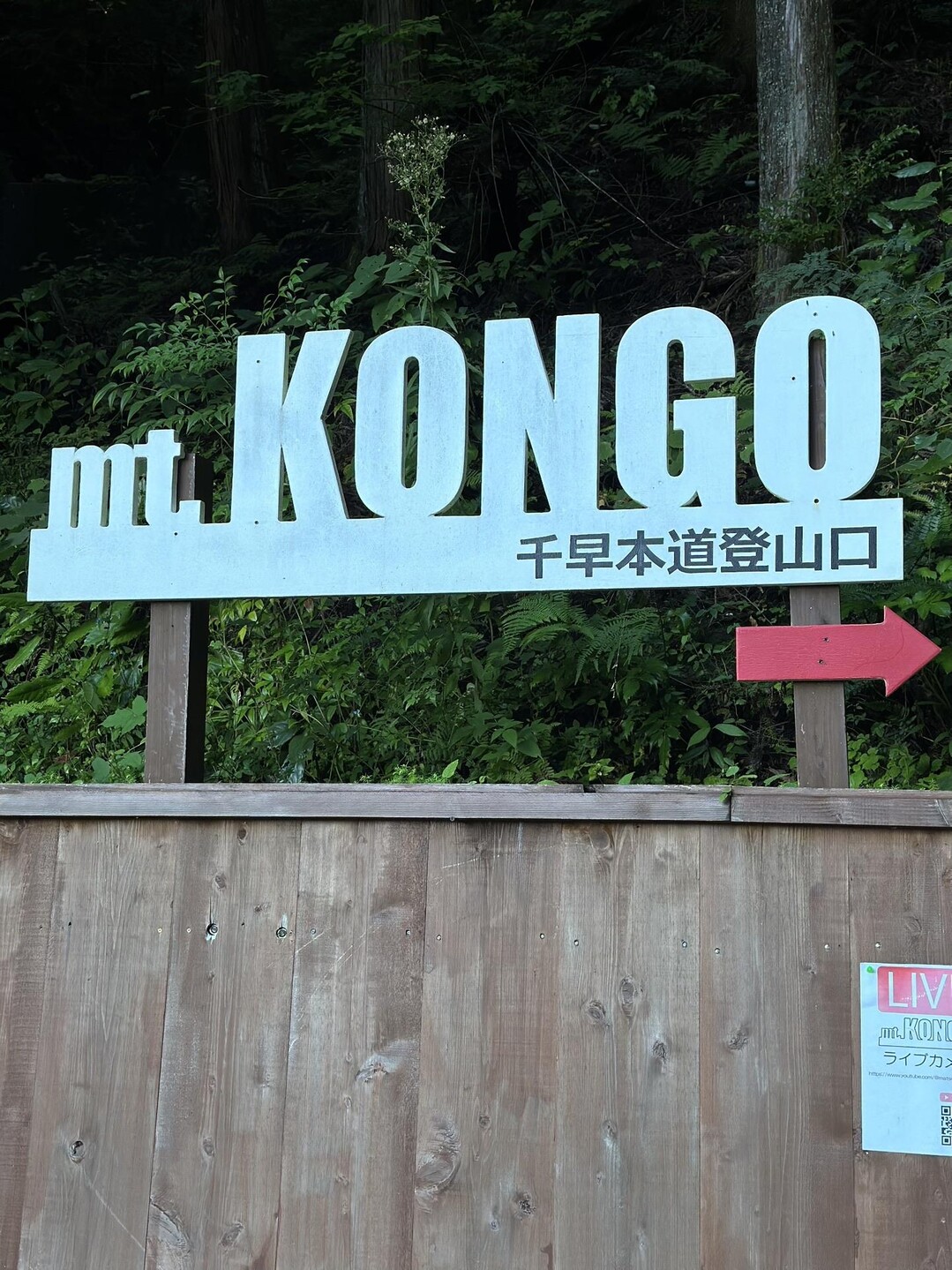 初夫婦登山は金剛山 / common コモンさんの金剛山・二上山・大和葛城山の活動データ | YAMAP / ヤマップ