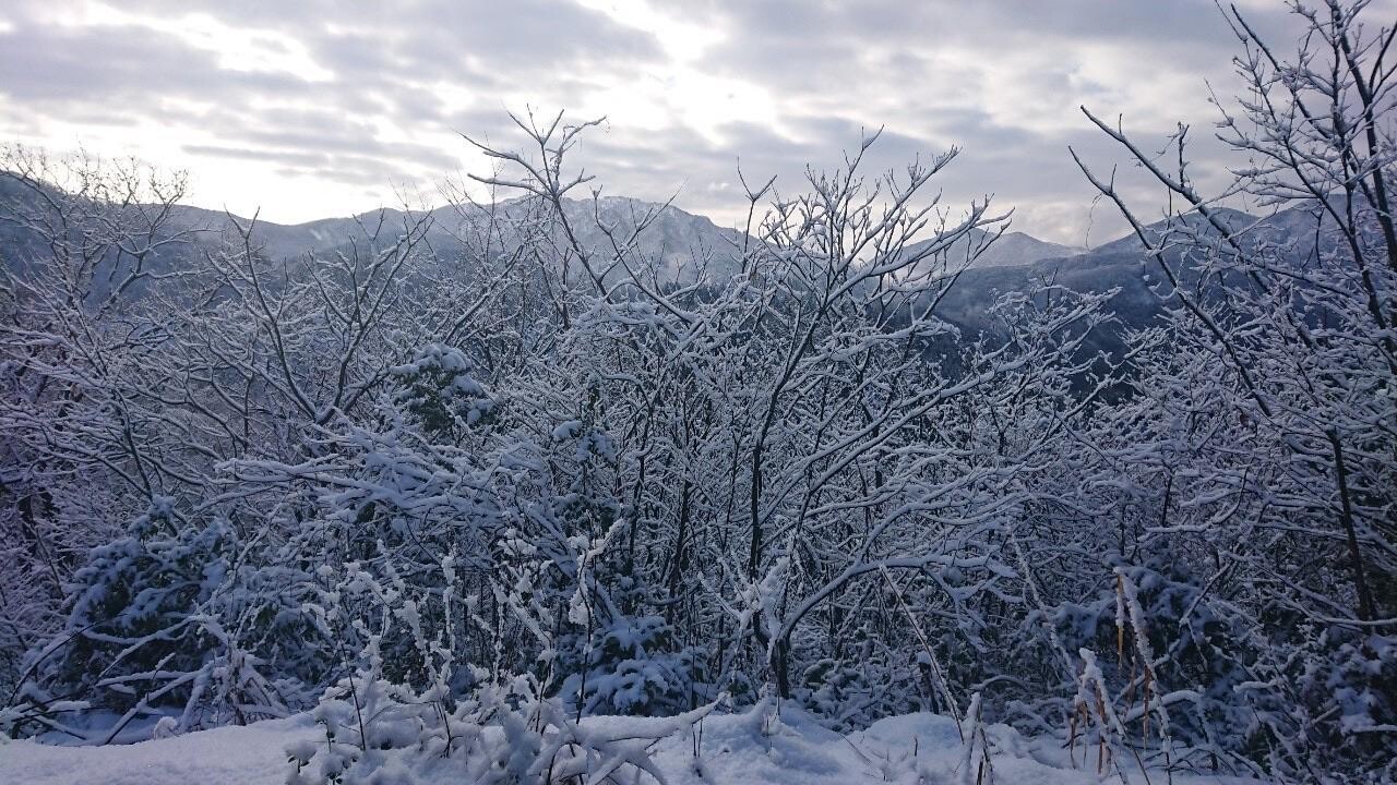 三条山・鉢伏山 / miiさんの牛岳の活動データ | YAMAP / ヤマップ