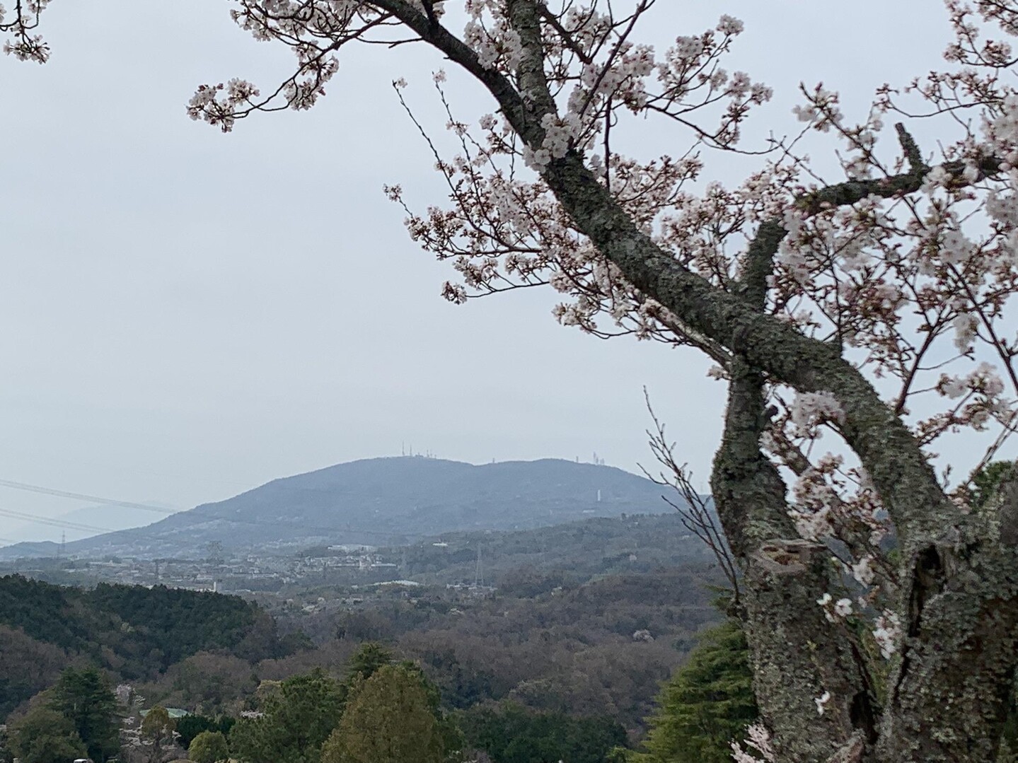 生駒全縦走(TTT) / takeさんの生駒山・神津嶽・大原山の活動データ | YAMAP / ヤマップ