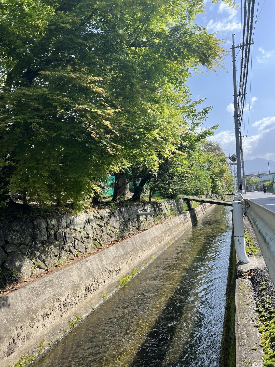 ぷらっとゆるRUN110 pic1 ... / 武田山のテングさんのモーメント | YAMAP / ヤマップ