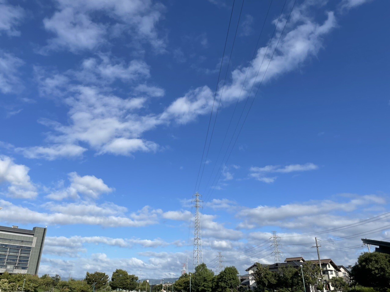 朝早めに起きられたので近所の公園へウォー... / hiroさんのモーメント | YAMAP / ヤマップ