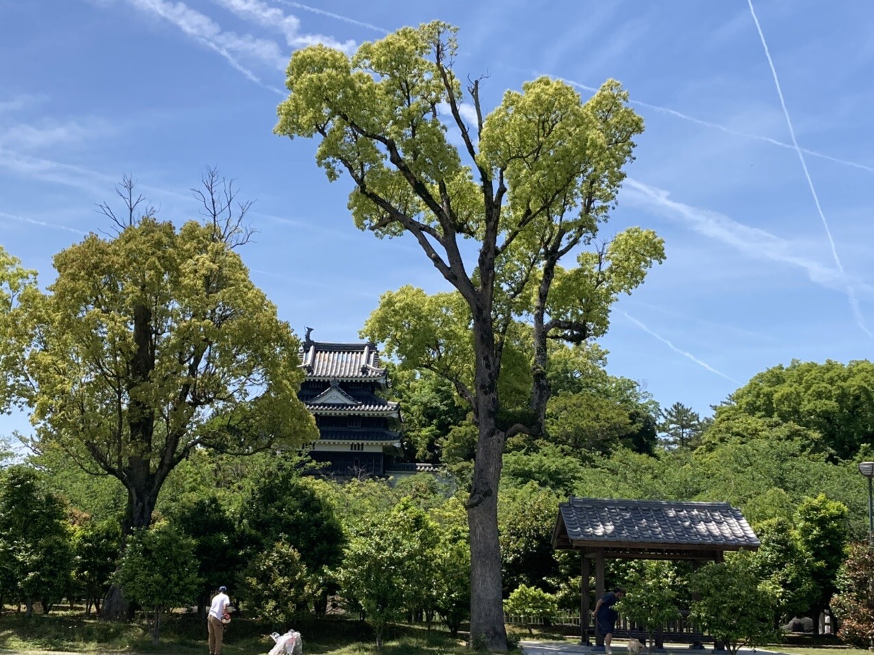 keyのページ | YAMAP / ヤマップ