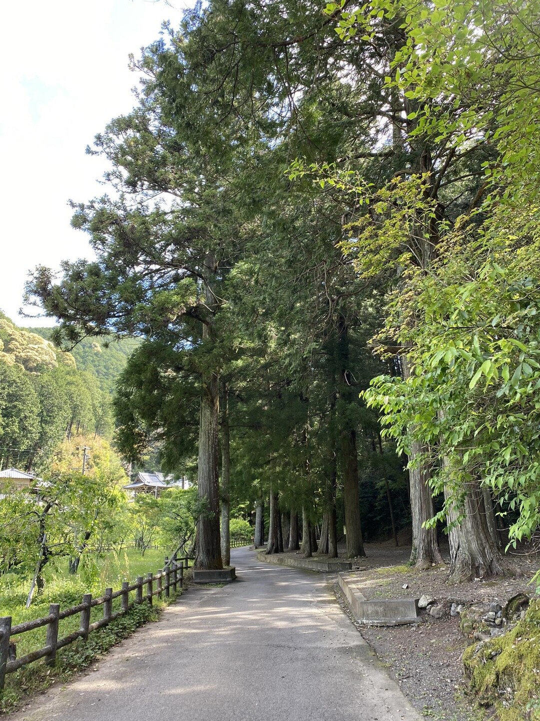 2023.05.14(日) 10:22 / マッテレさんのモーメント | YAMAP / ヤマップ