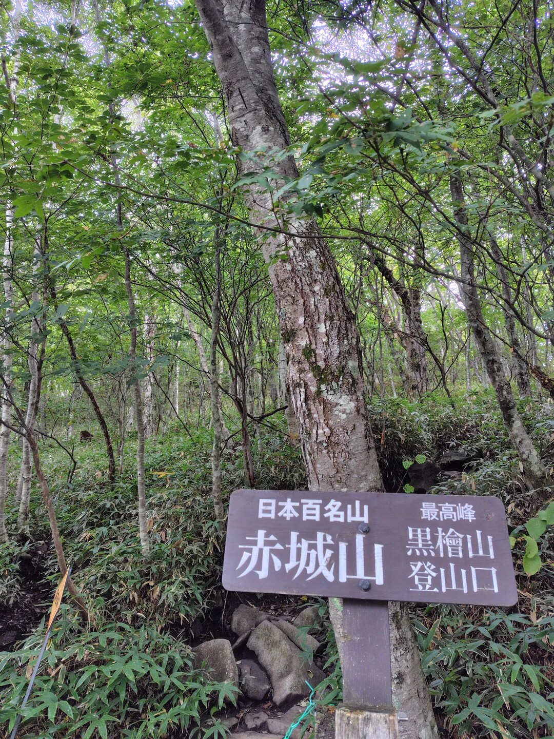 黒檜山・駒ヶ岳（赤城山） / yusienaさんの赤城山・黒檜山・荒山の活動データ | YAMAP / ヤマップ