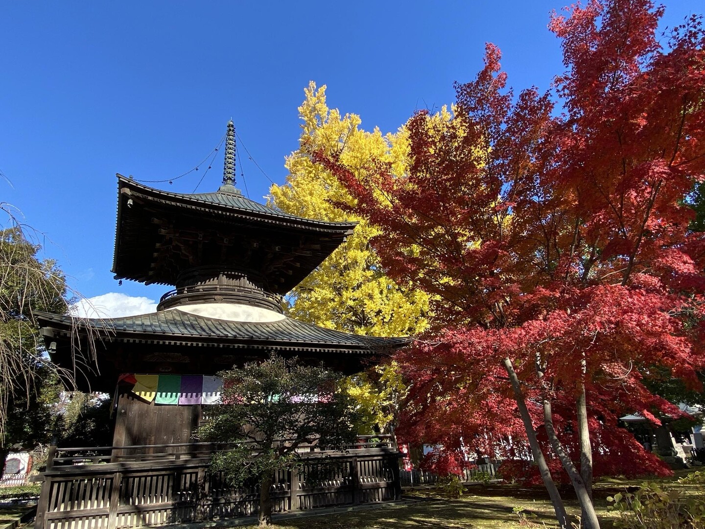 鑁阿寺🍁 ② / woodsfanさんの両崖山・仙人ヶ岳・石尊山の活動データ | YAMAP / ヤマップ