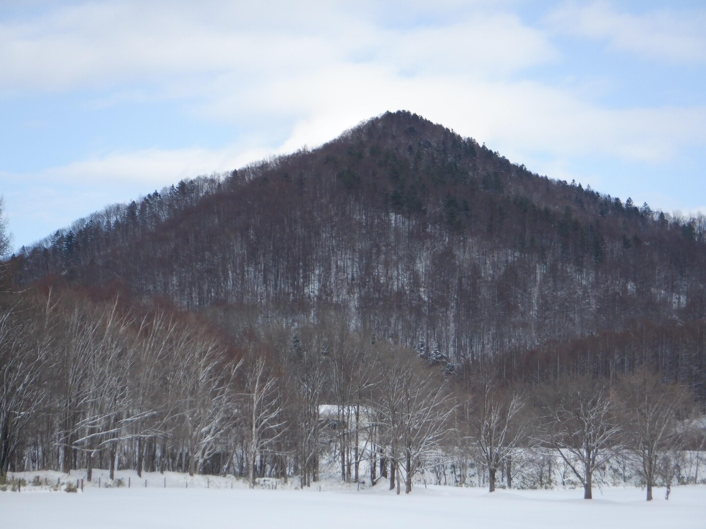 尖山（トマム） / sapさんのトマム山の活動データ | YAMAP / ヤマップ