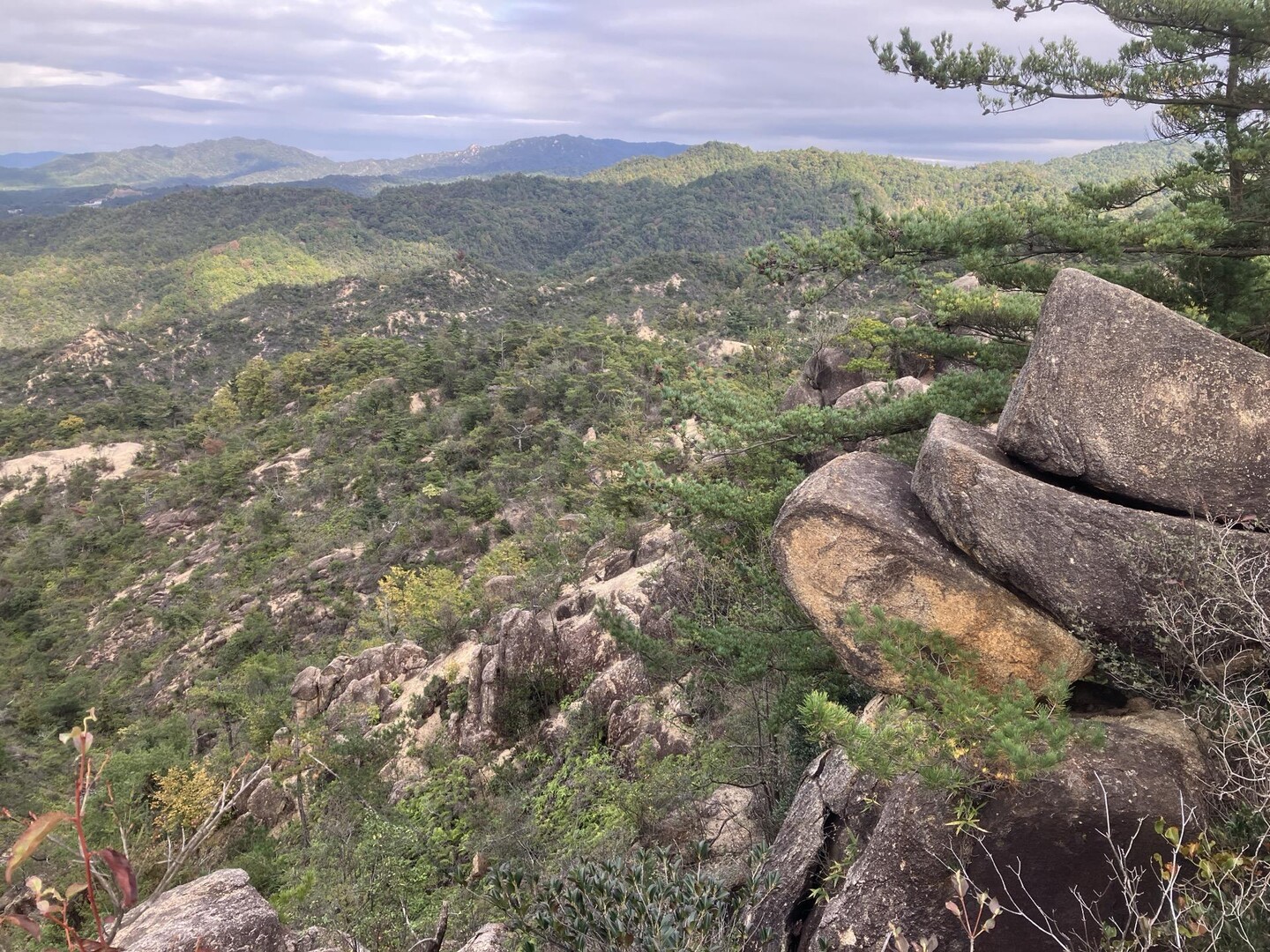 矢筈ヶ岳・太神山・堂山 / 恵美 Emiさんの湖南アルプス（太神山・堂山）の活動データ | YAMAP / ヤマップ